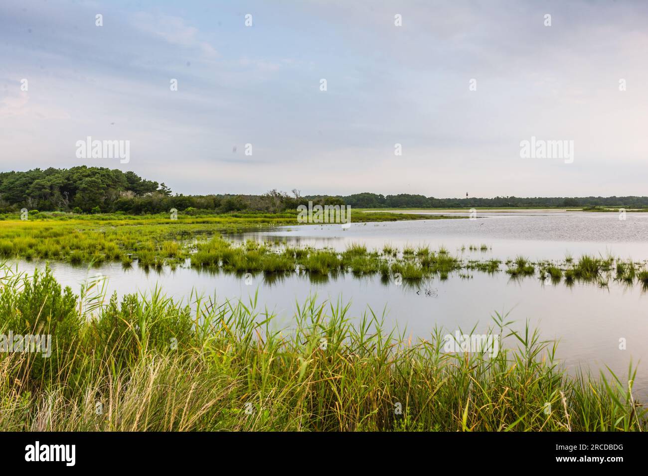 Virginia ecology hi-res stock photography and images - Alamy
