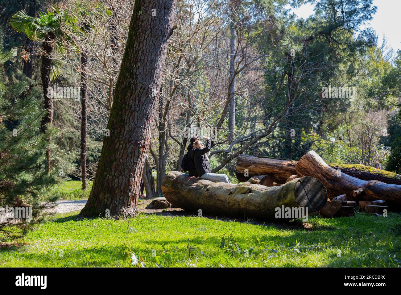 Core logging hi-res stock photography and images - Alamy