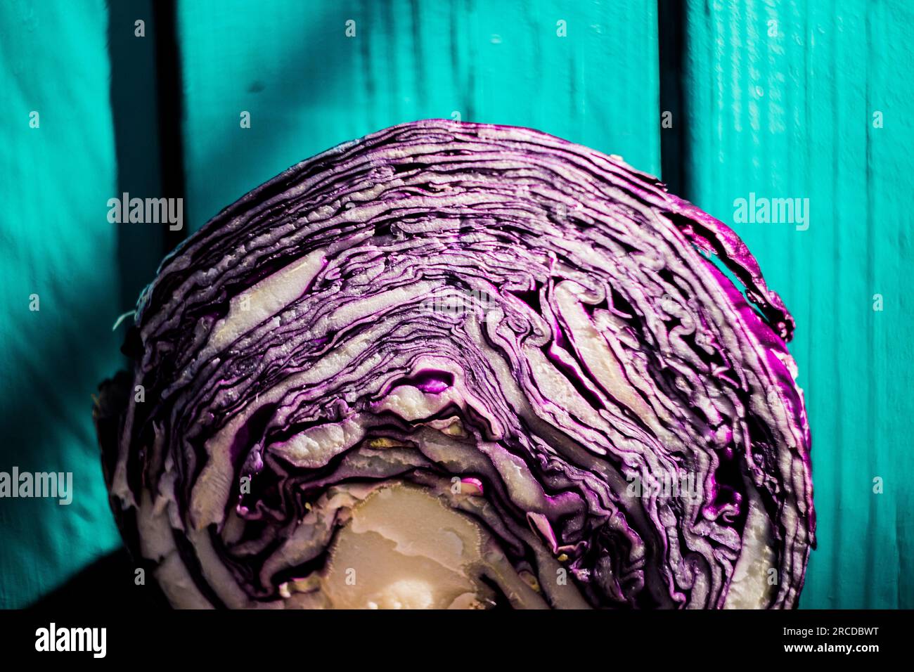 A cut half of a head of red cabbage lies on wooden boards painted with ...