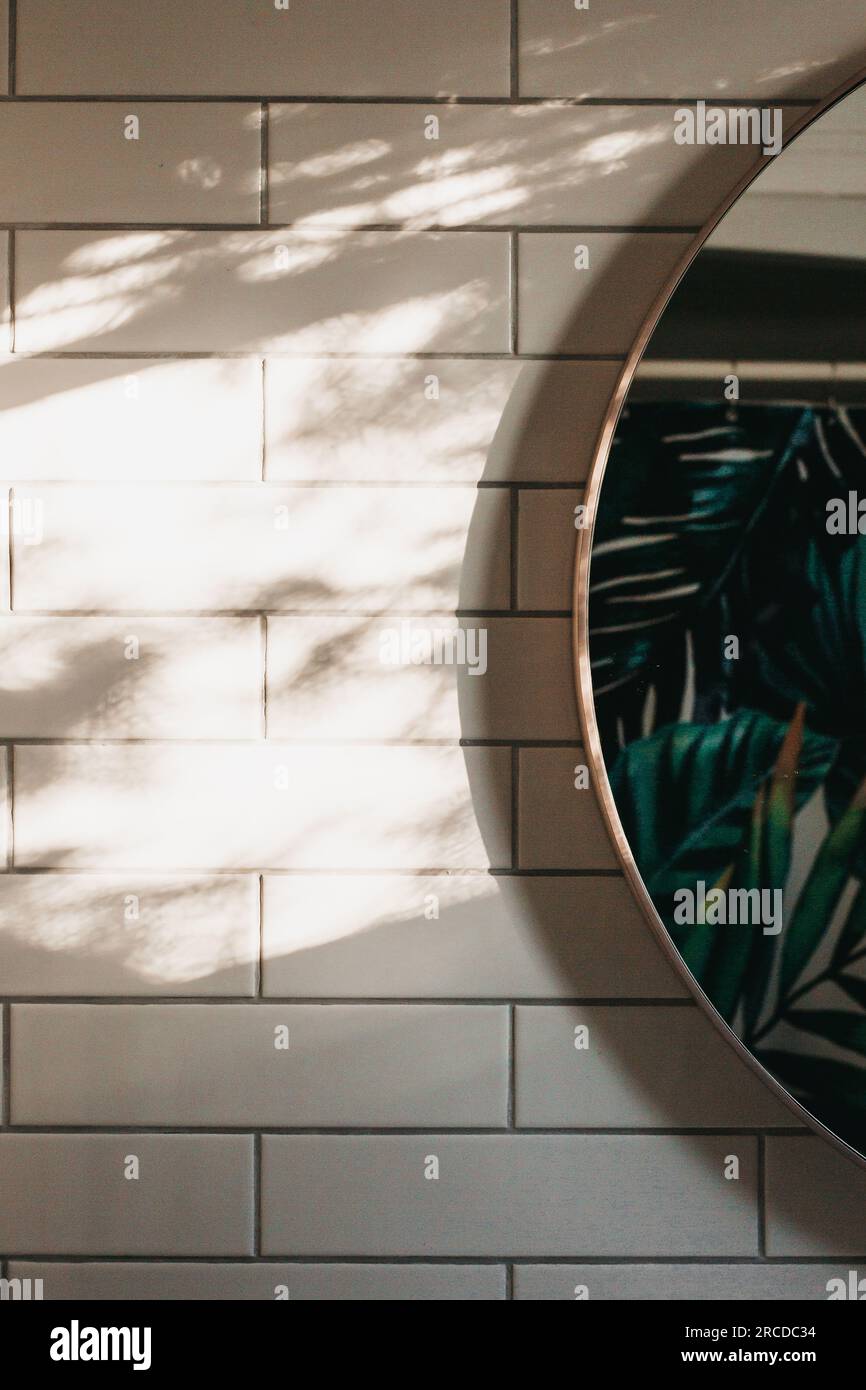 Sunlight dappled hi-res stock photography and images - Alamy