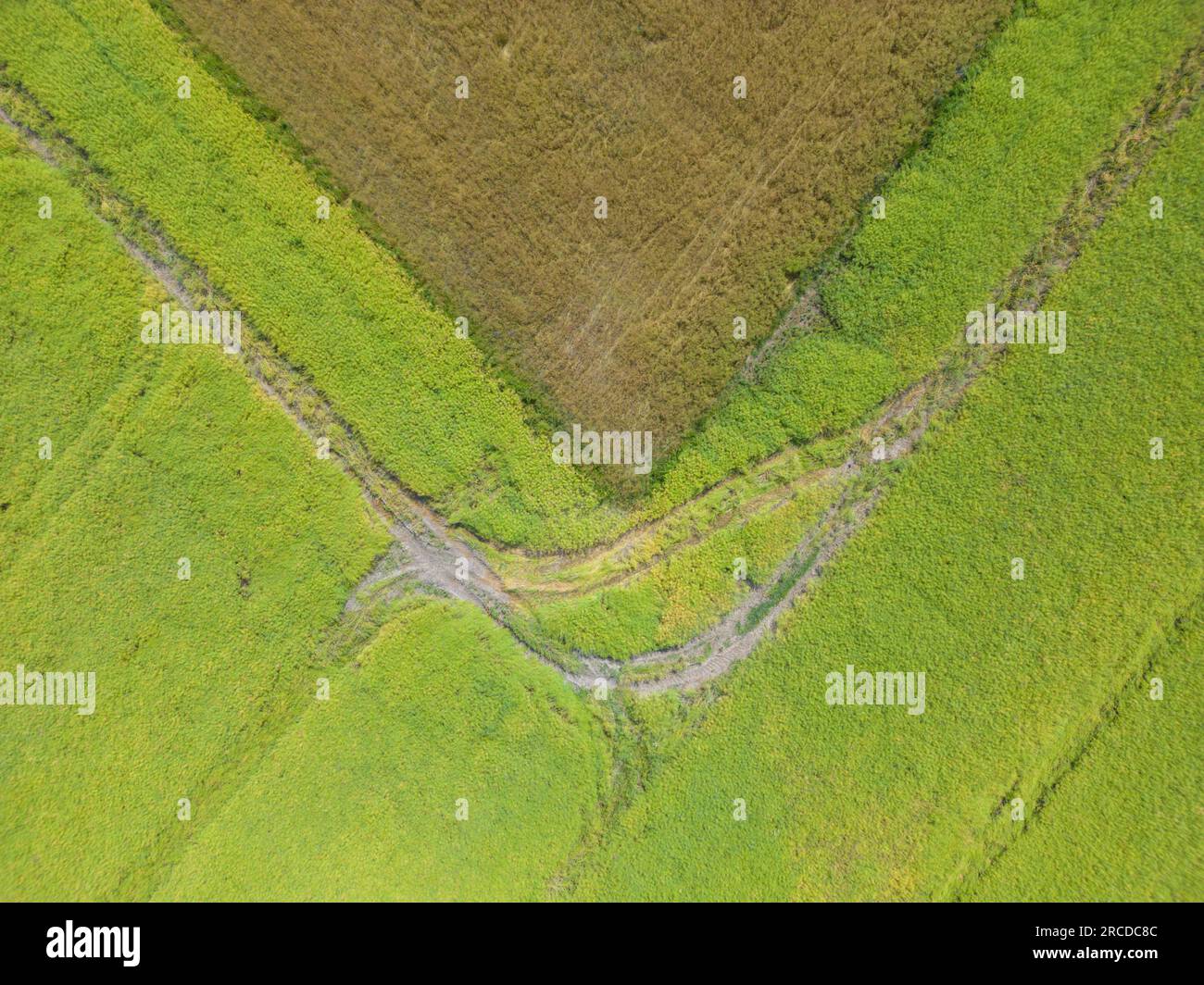 Abstract geometric shapes of agricultural parcels of different c Stock ...