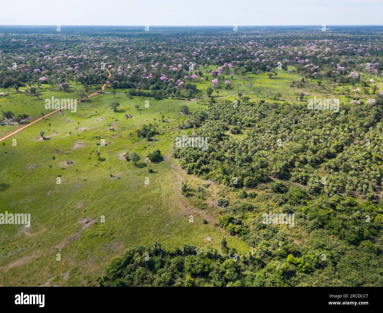Beautiful aerial view to green vegetation and open fields in Pantanal ...