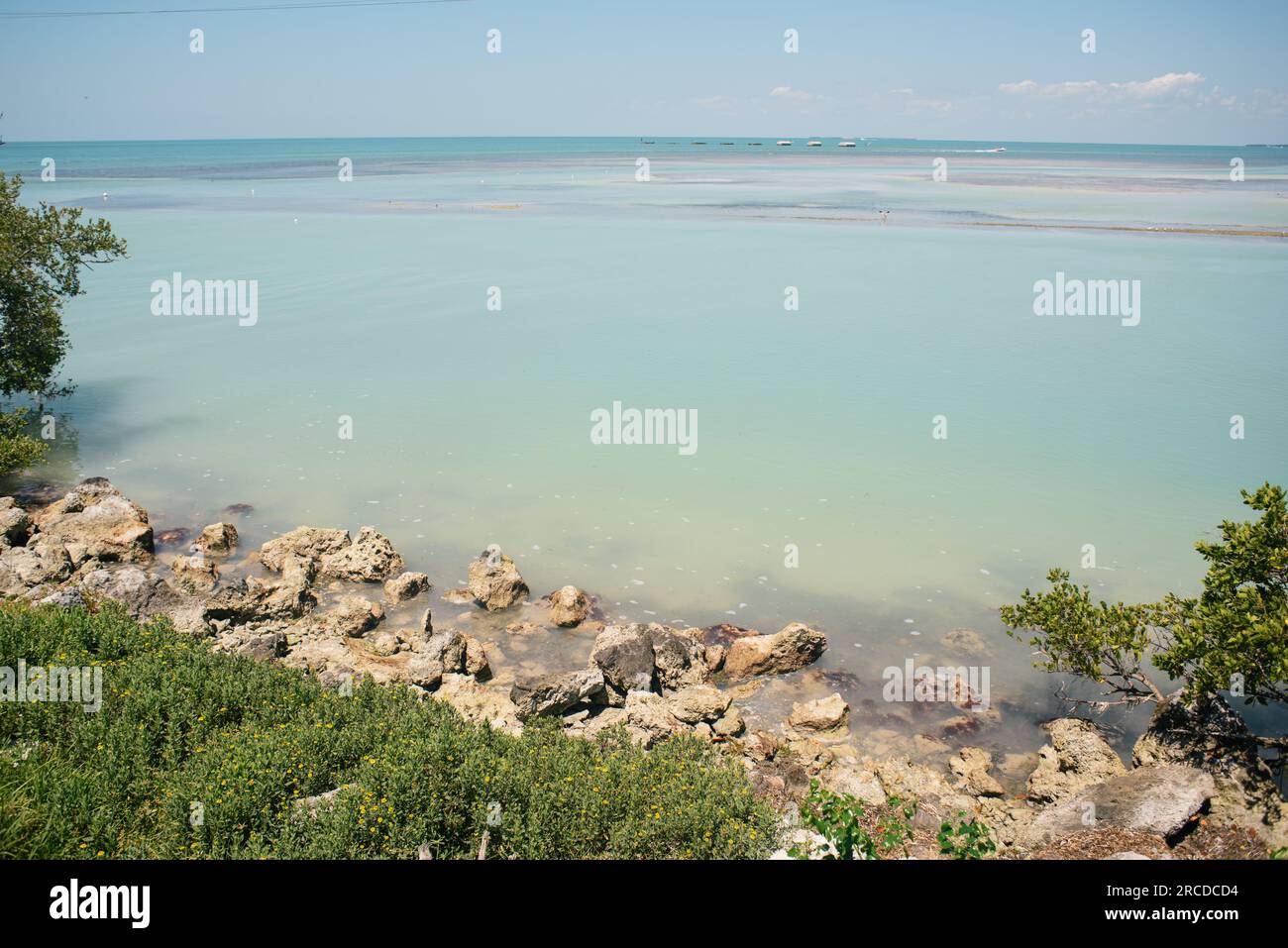 Key Largo Atlantic Ocean Clear Blue Water View from Shore Stock Photo ...