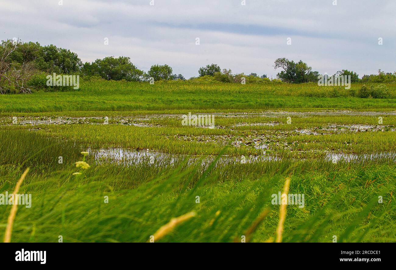 Deep pool, broad after flooding, flood meadows in flat river valley ...