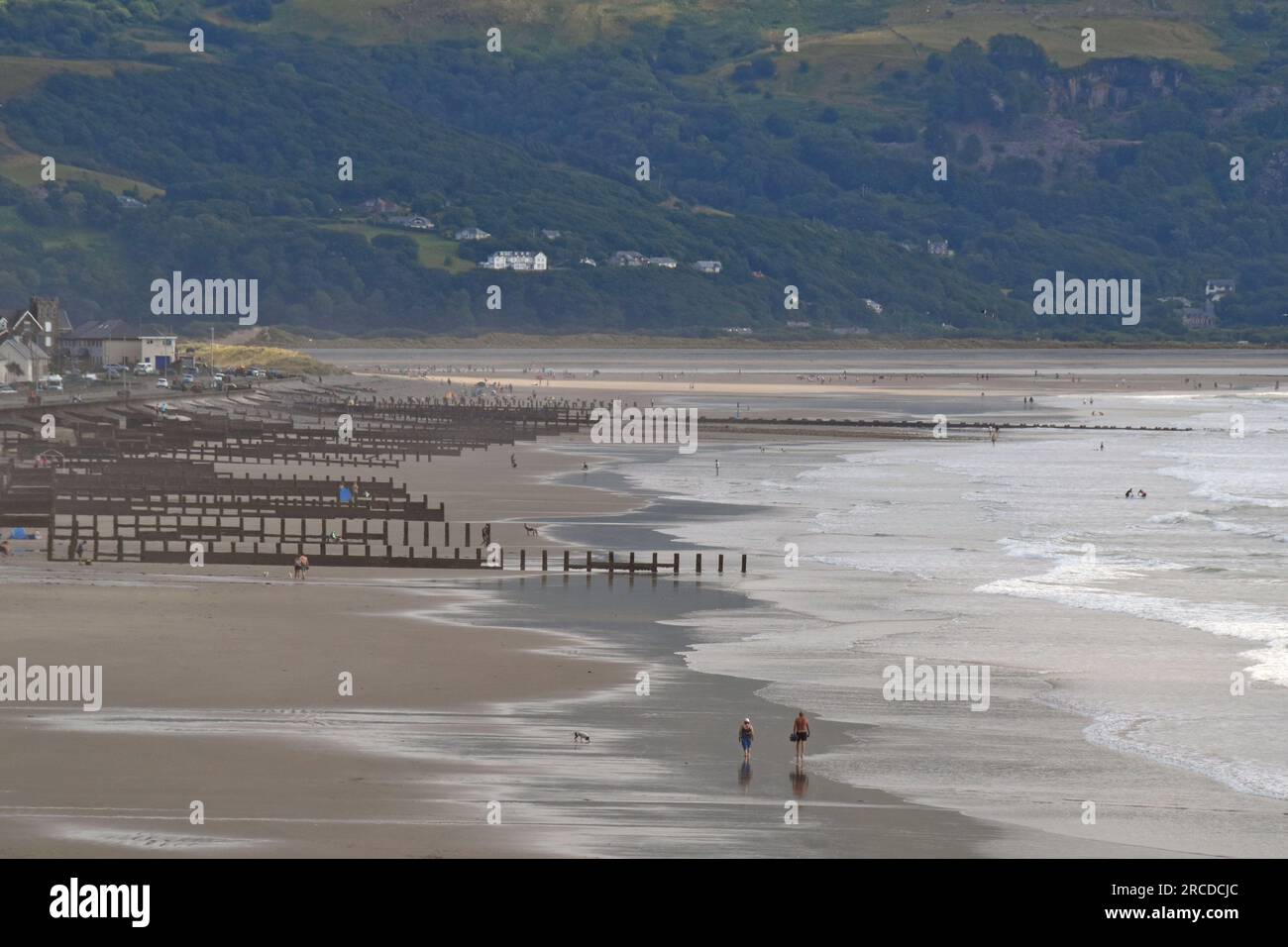 People walking with dogs on a wide beach at the seaside resort of ...