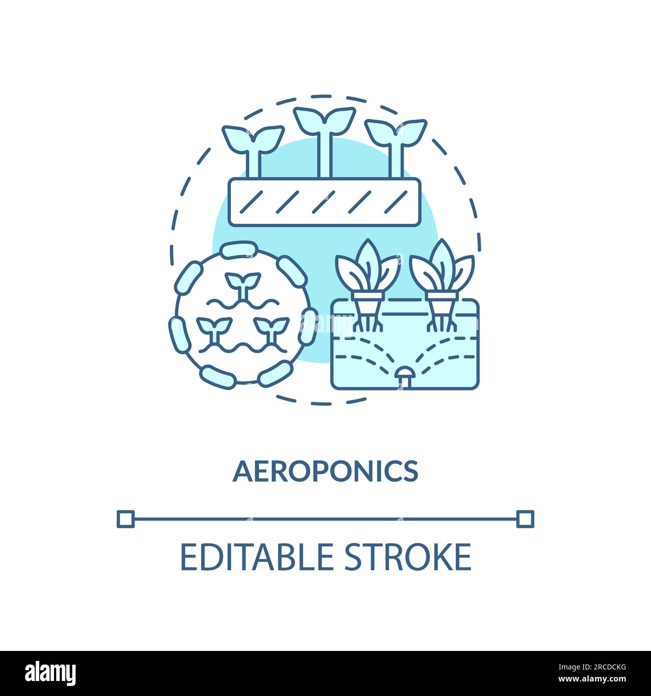 Aeroponics plant hi-res stock photography and images - Alamy