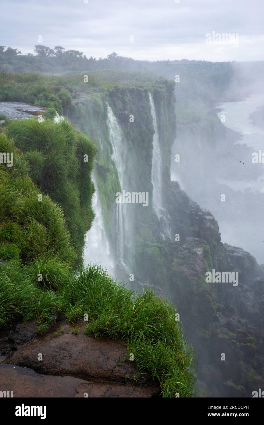 Beautiful view to atlantic rainforest waterfalls in Iguassu Park Stock ...