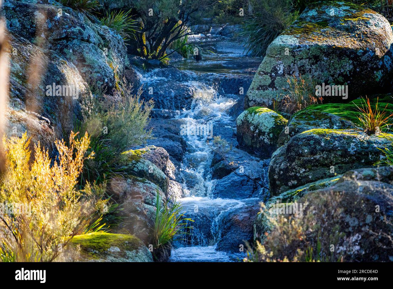 Small waterfall cascades over granite rocks, Glen Elgin Creek, New ...