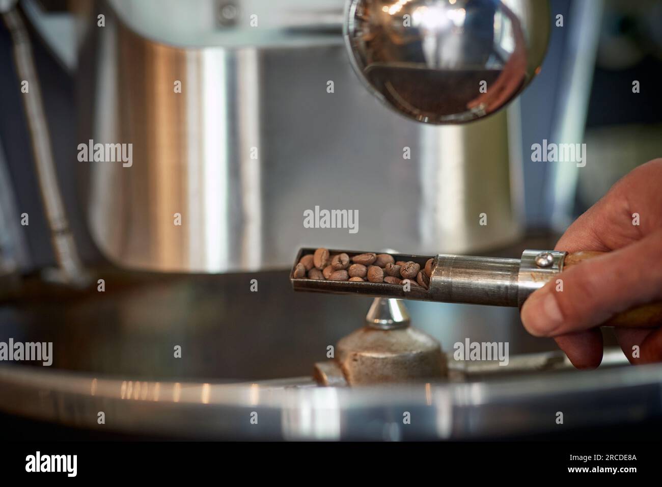 close up detail of measuring tool for whole grain coffee. caucasian ...