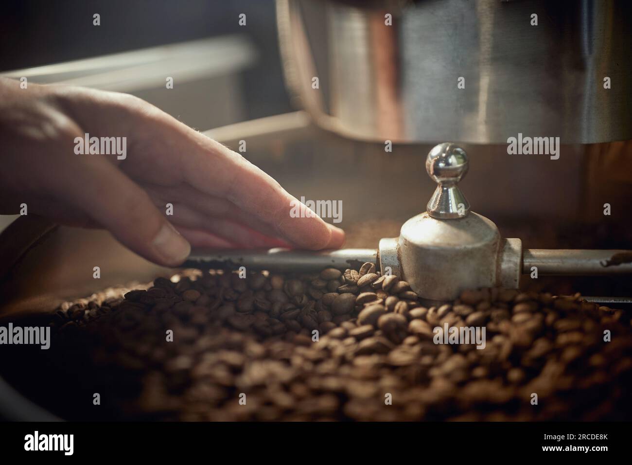 detail of a caucasian hand touching coffee grains in modern machine for ...