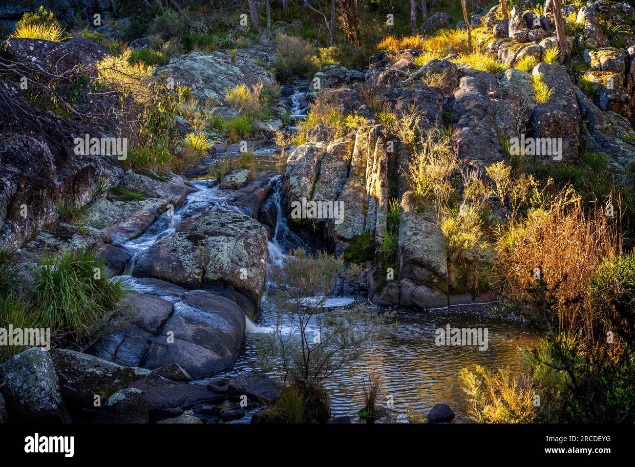 Small waterfall cascades over granite rocks, Glen Elgin Creek, New ...