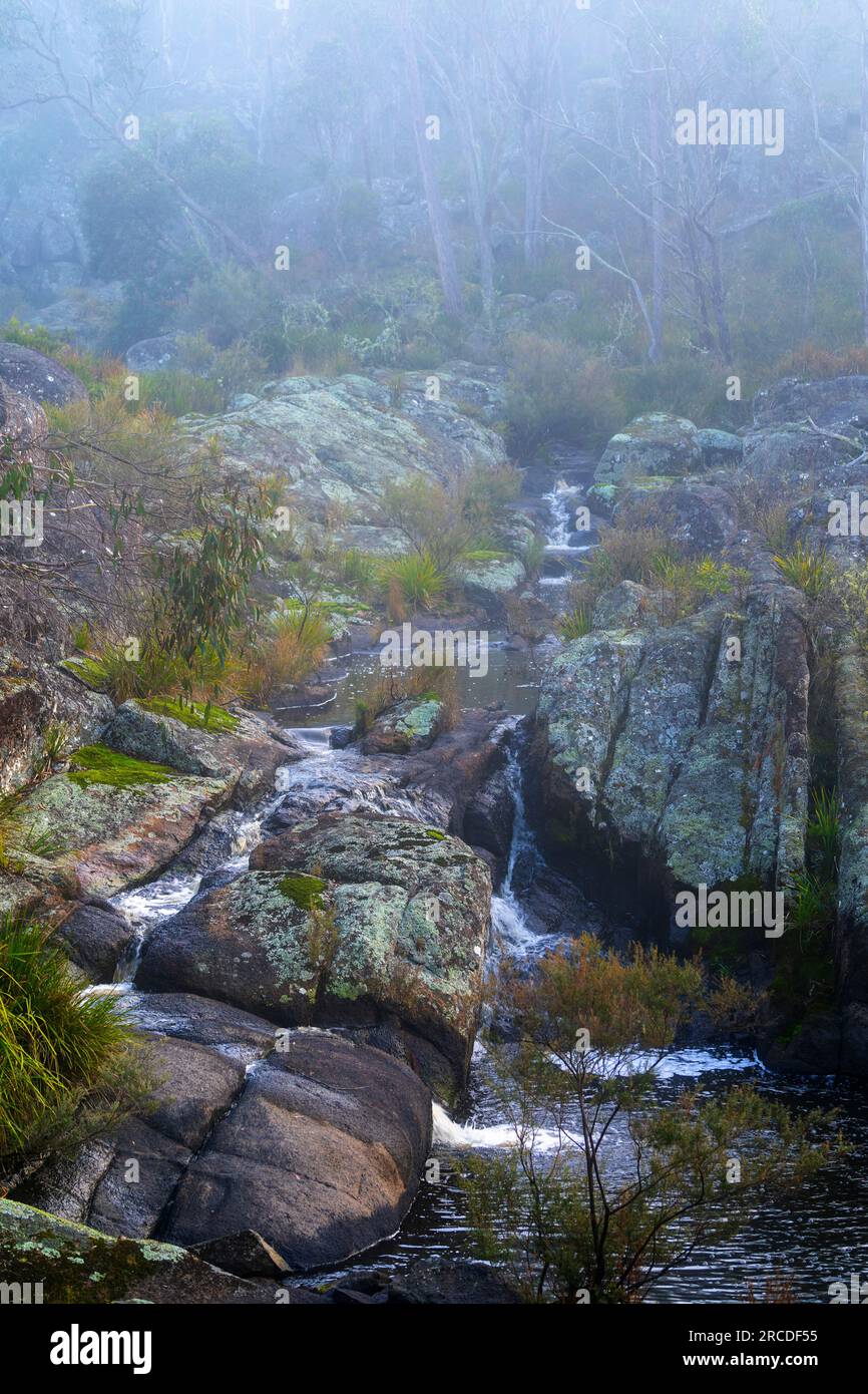 Small waterfall surrounded by fog, Glen Elgin Creek, New England ...