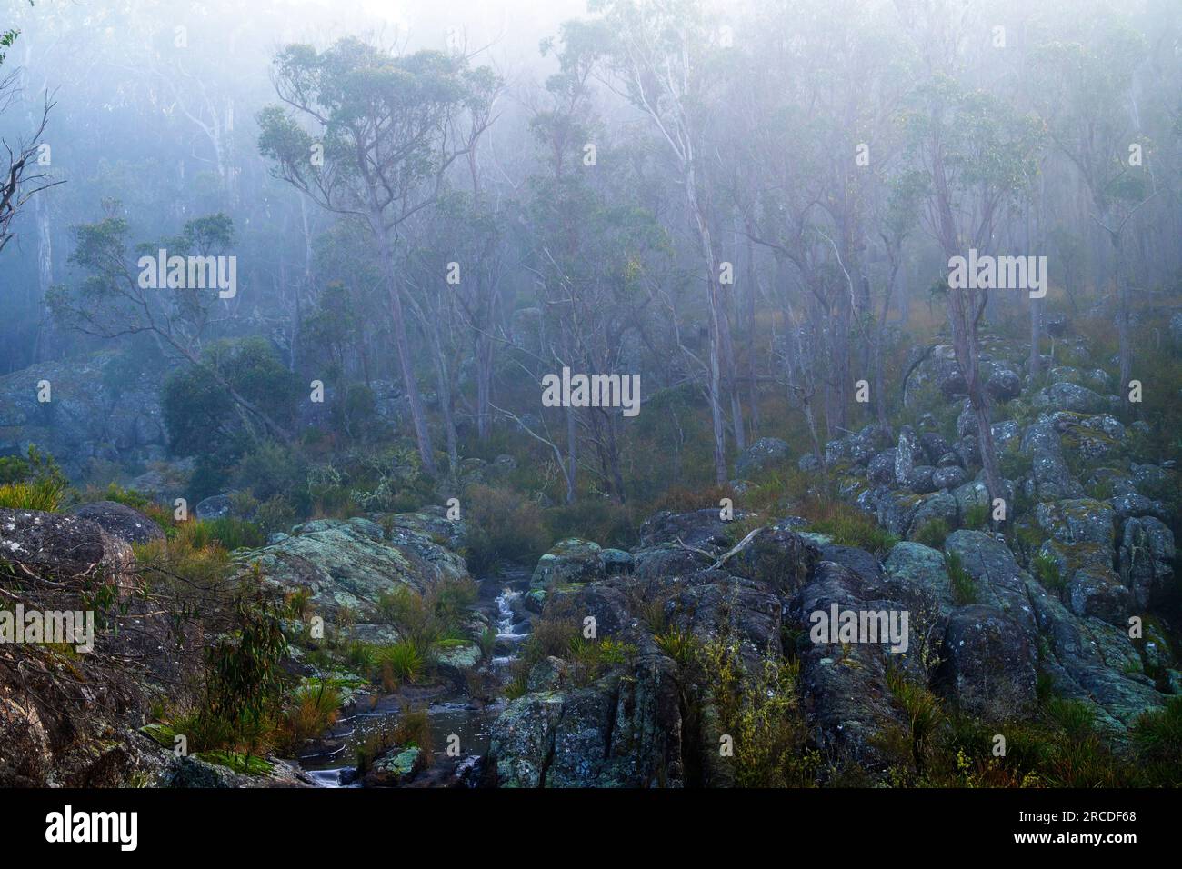 Elgin valley hi-res stock photography and images - Alamy