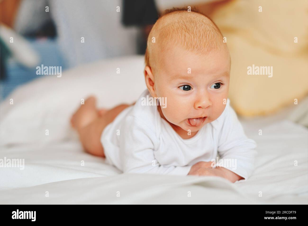 Portrait of adorable 3 month old baby boy lying on the tummy Stock ...
