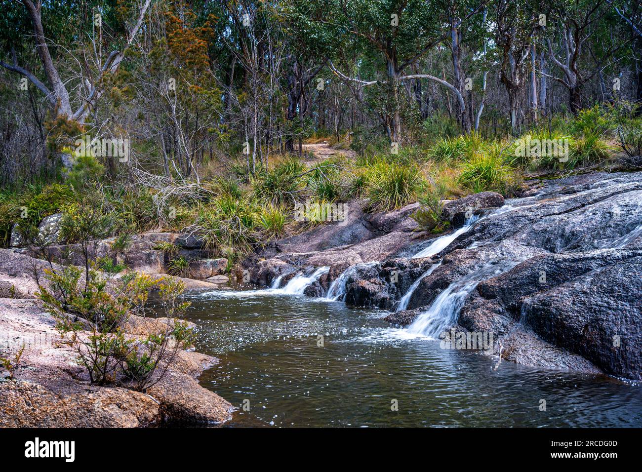 Little Basket Swamp Waterfall, Basket Swamp National Park, New England ...