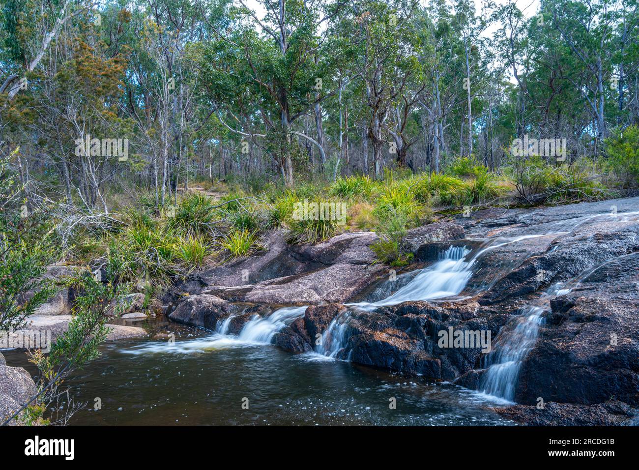 Little Basket Swamp Waterfall, Basket Swamp National Park, New England ...