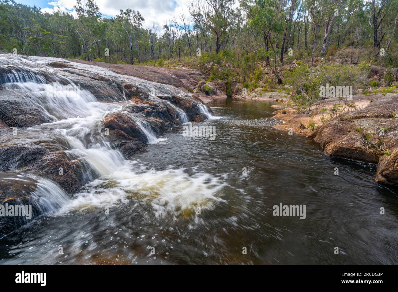 Little Basket Swamp Waterfall, Basket Swamp National Park, New England ...