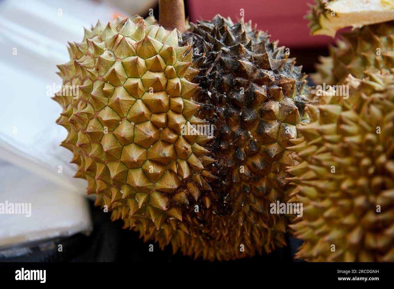 Durian seed hi-res stock photography and images - Alamy