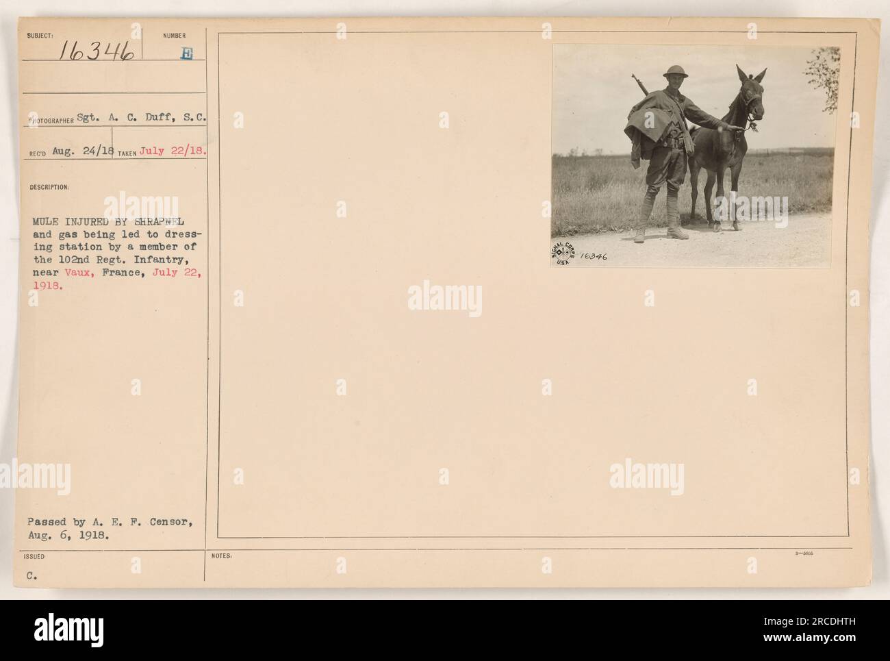 102nd infantry regiment hi-res stock photography and images - Alamy