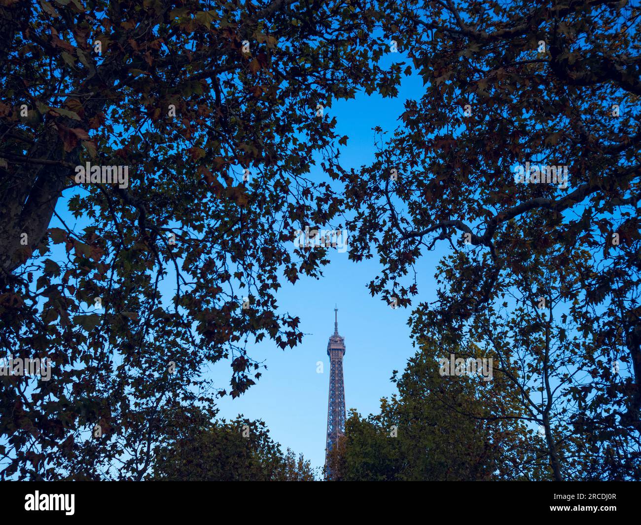 Nighttime View of Eiffel Tower, Paris, France, Europe, EU Stock Photo ...