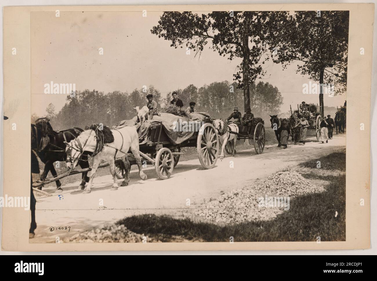 Displaced people world war hi-res stock photography and images - Alamy