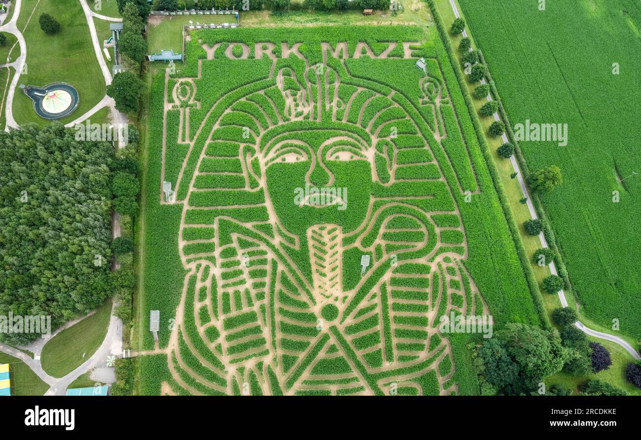 An image of Tutankhamun cut from a 15-acre field of maize plants, which ...