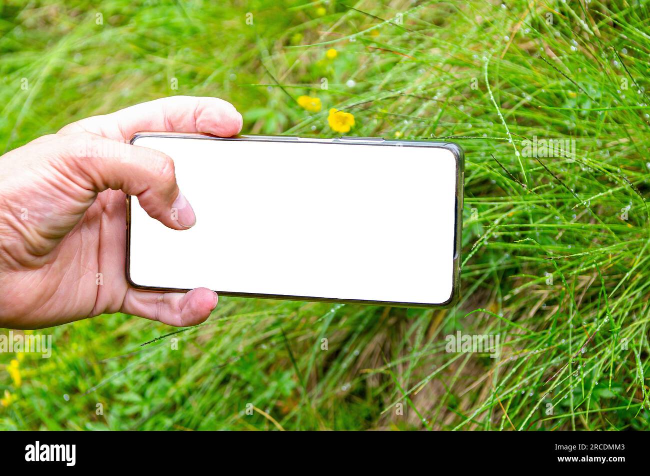 Photo with a smartphone. Smartphone screen close-up. Smartphone in a ...