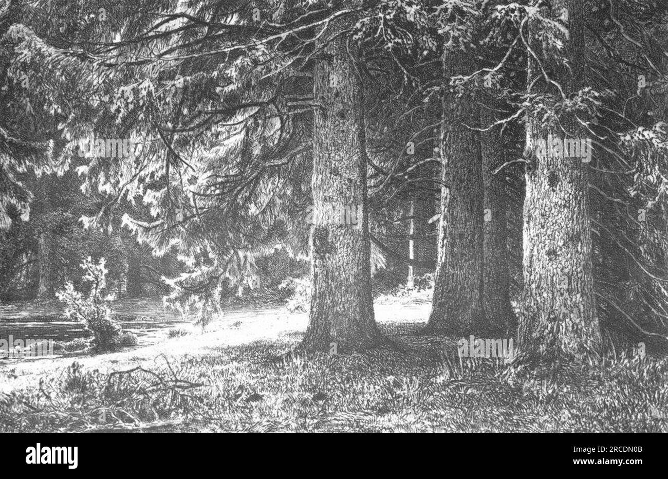 Shuvalov park hi-res stock photography and images - Alamy