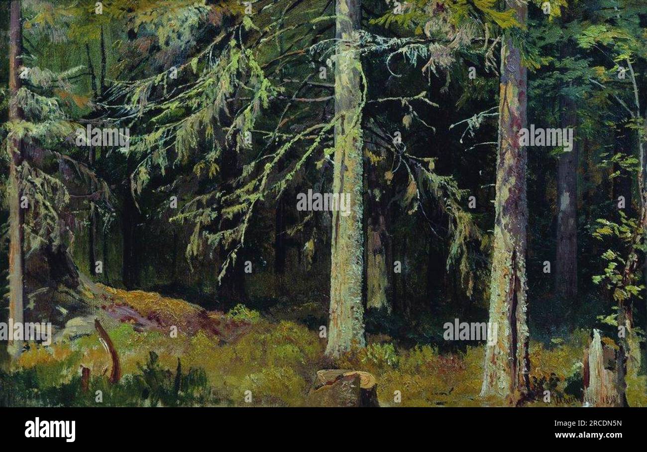 Fir forest 1890 by Ivan Shishkin Stock Photo - Alamy