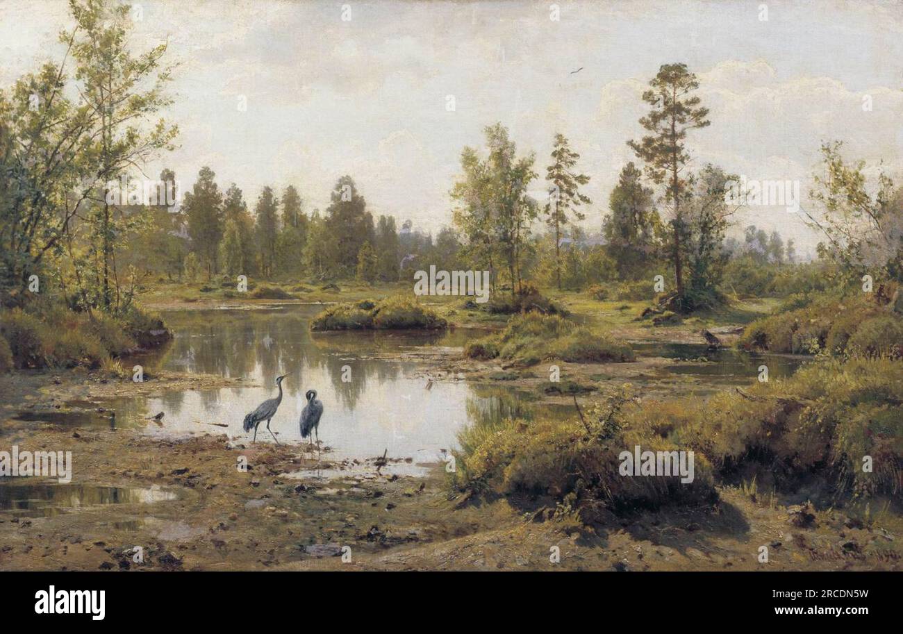 Marsh. Polissia 1890 by Ivan Shishkin Stock Photo - Alamy