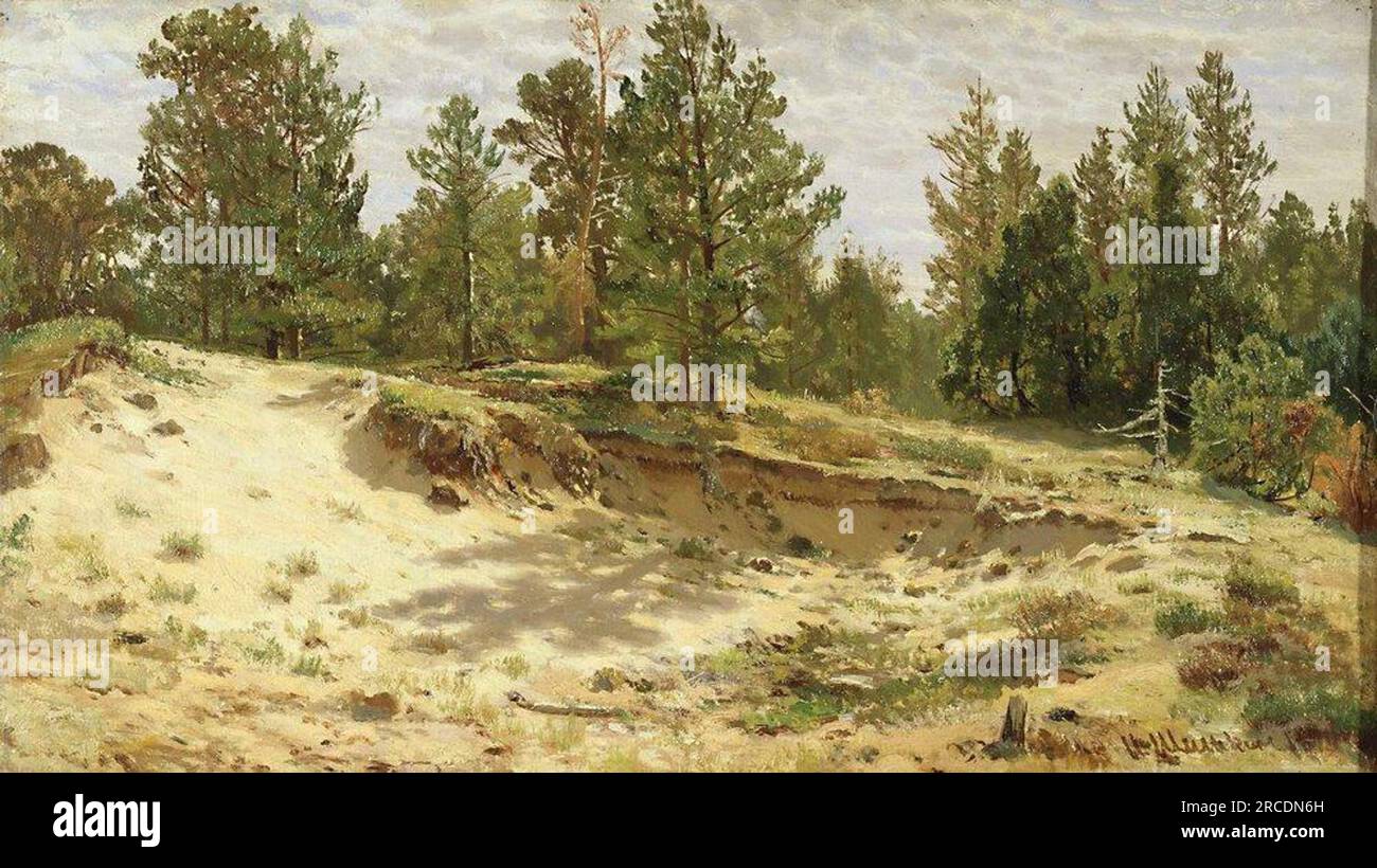 Young pines on the sandy cliff. Mary-Howie on Finnish Railways 1890 by ...