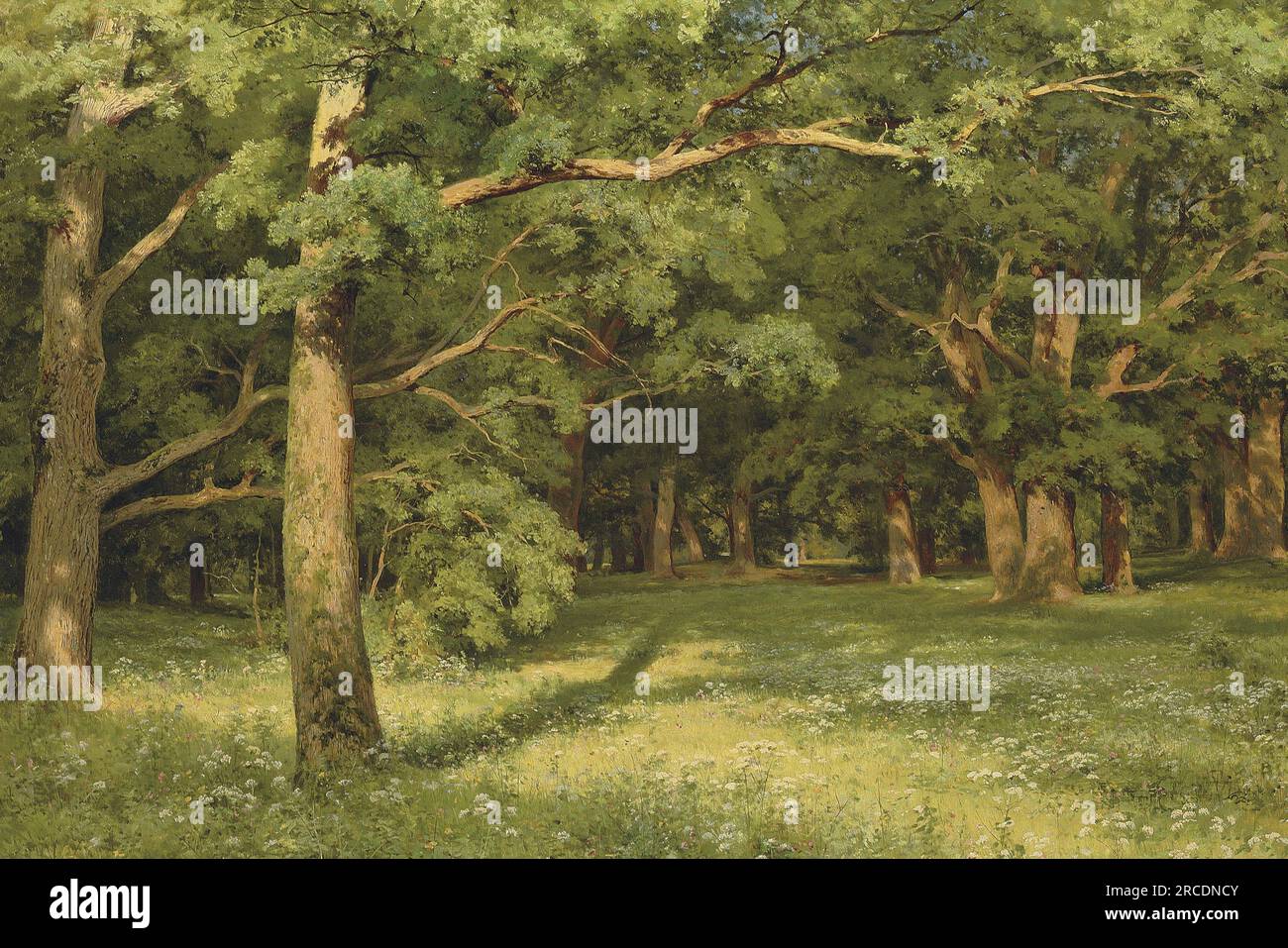 The Forest Clearing 1896 by Ivan Shishkin Stock Photo - Alamy