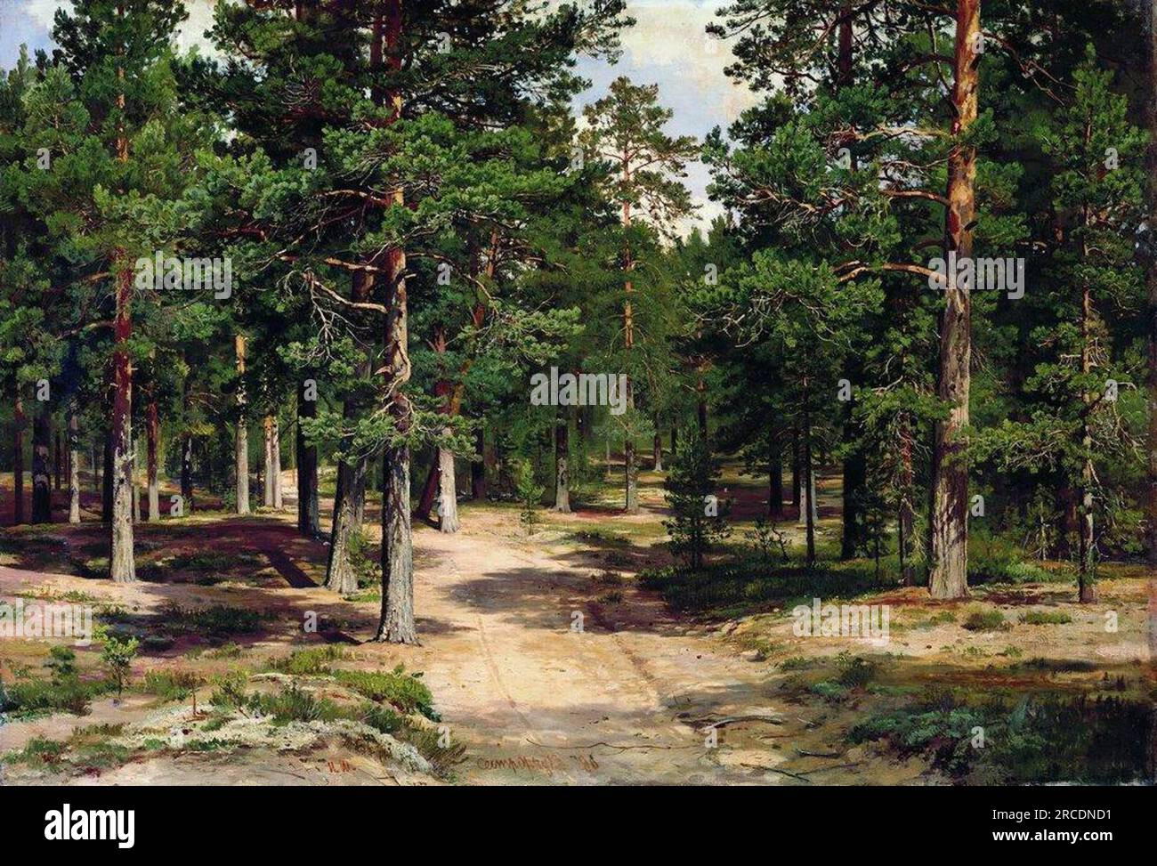 The Sestroretsk Bor 1896 by Ivan Shishkin Stock Photo - Alamy