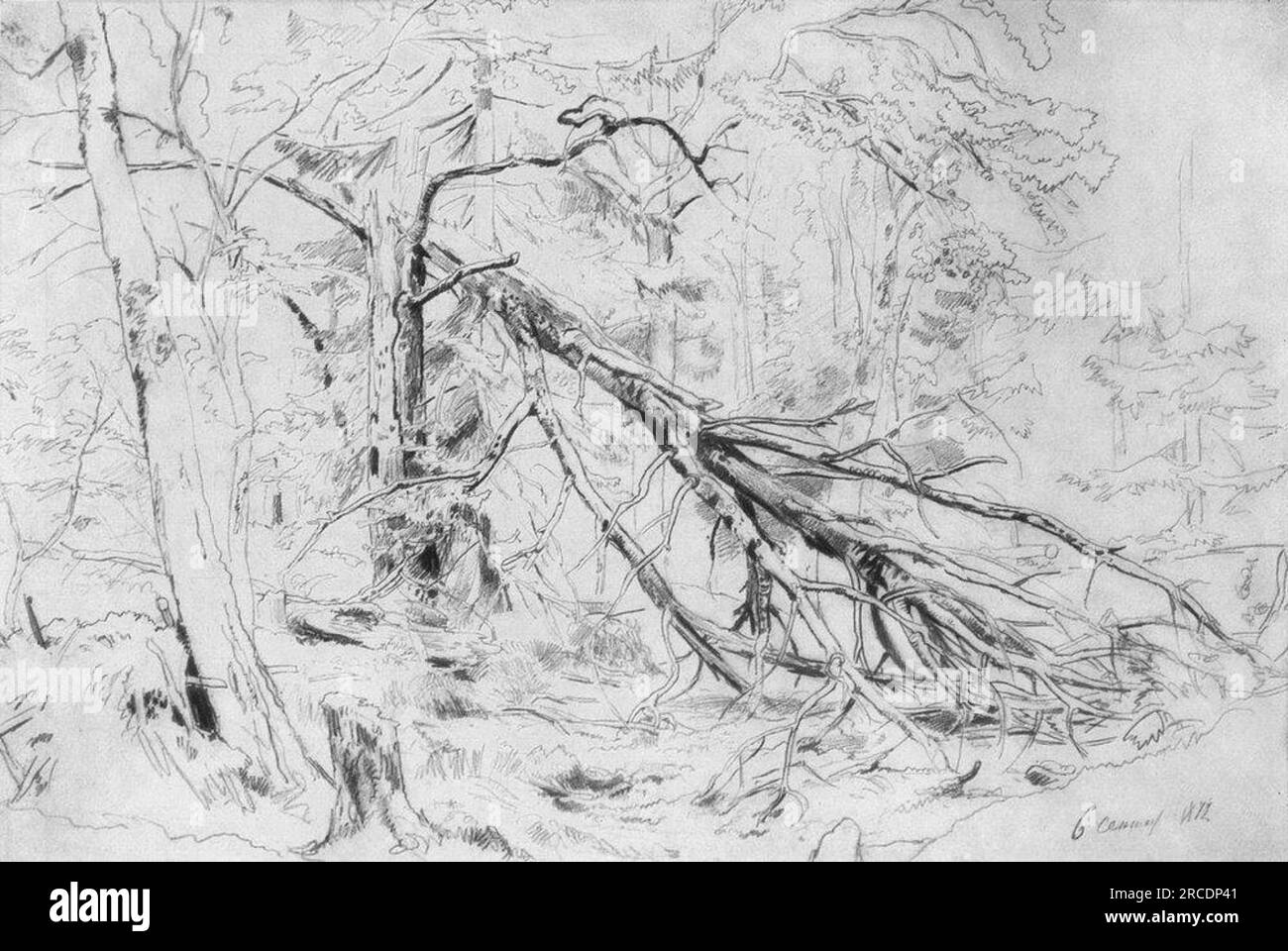 Broken study Black and White Stock Photos & Images - Alamy