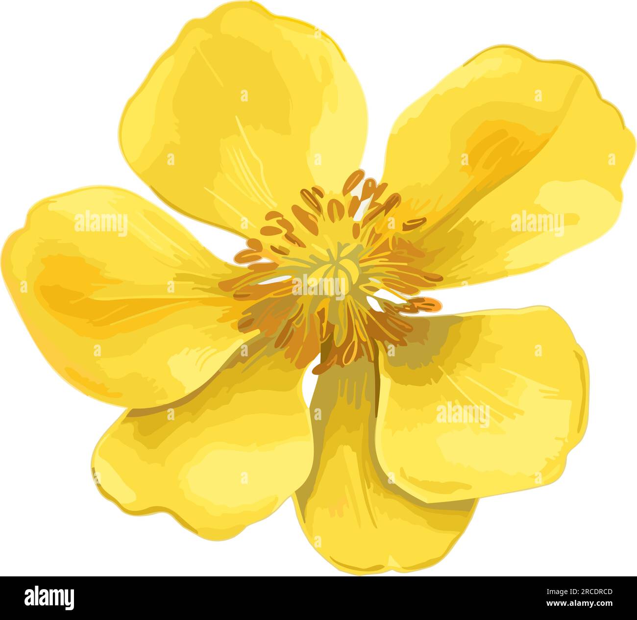 Post blooming Stock Vector Images - Alamy