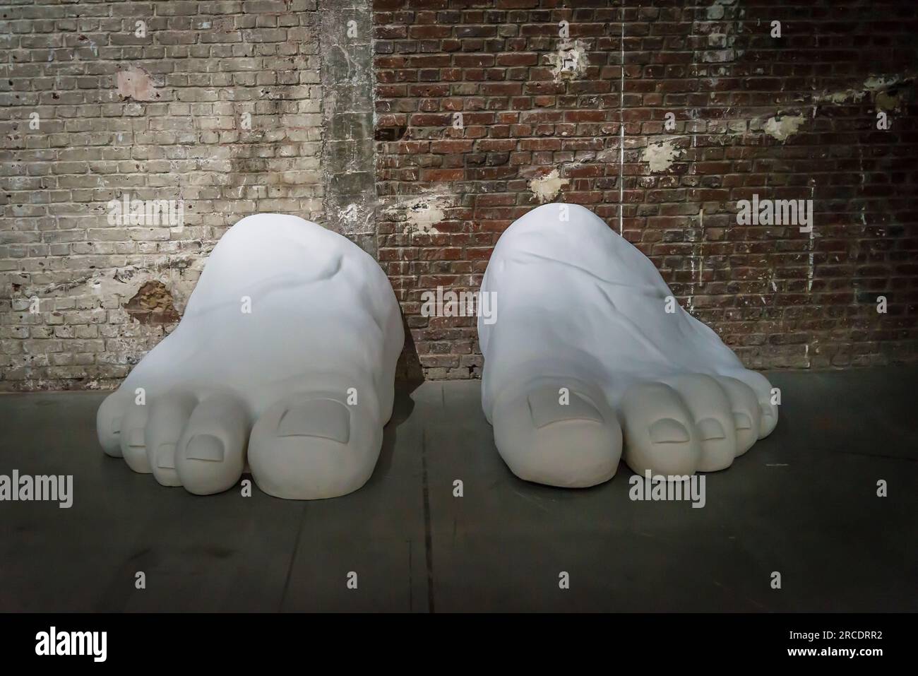 Exhibition 'Il morso delle termiti, Palais de Tokyo, an exhibition ...