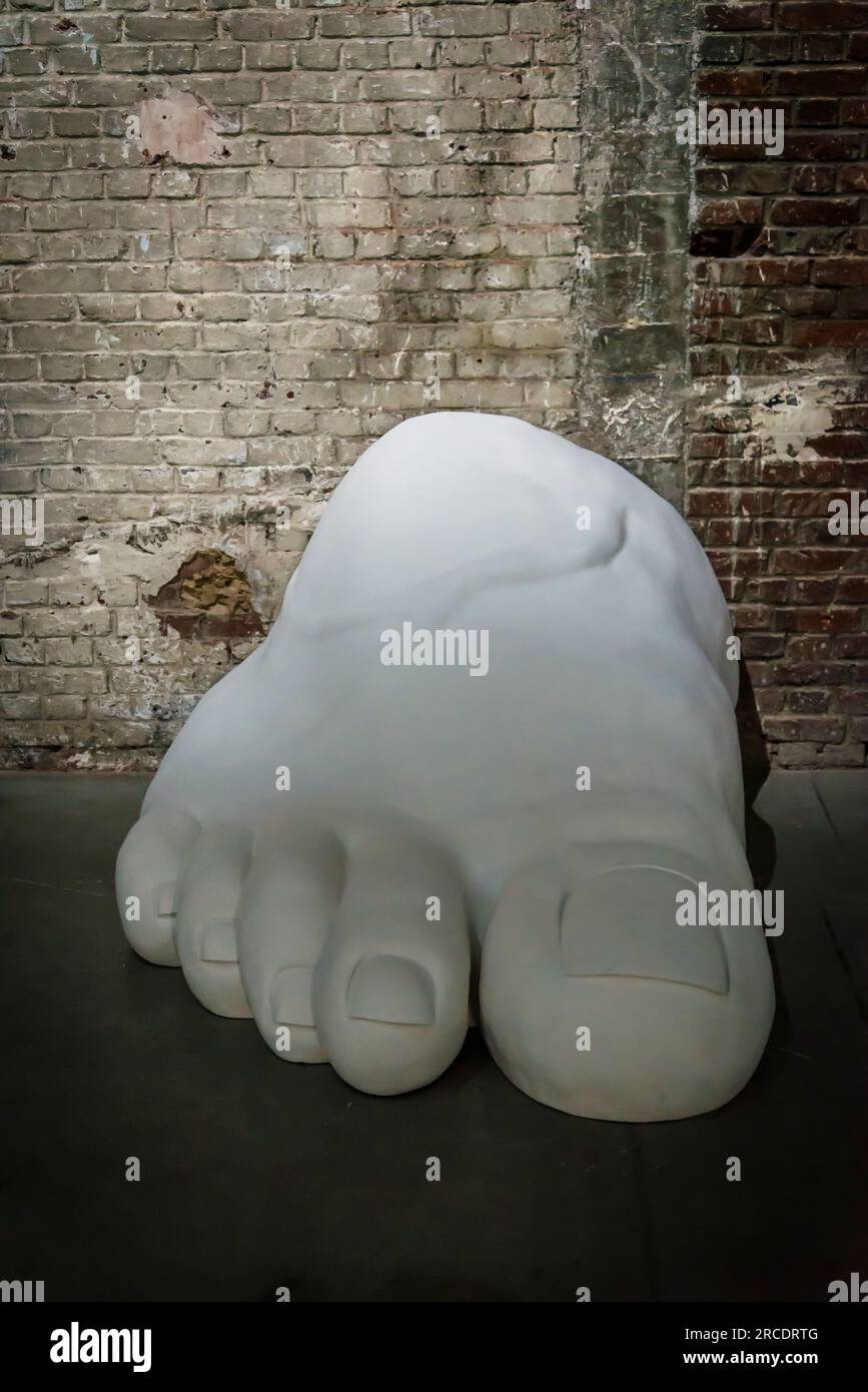 Exhibition 'Il morso delle termiti, Palais de Tokyo, an exhibition ...