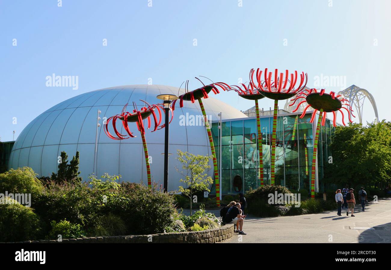 Sonic Bloom sculpture by Dan Corson five huge sculpted sunflowers with ...
