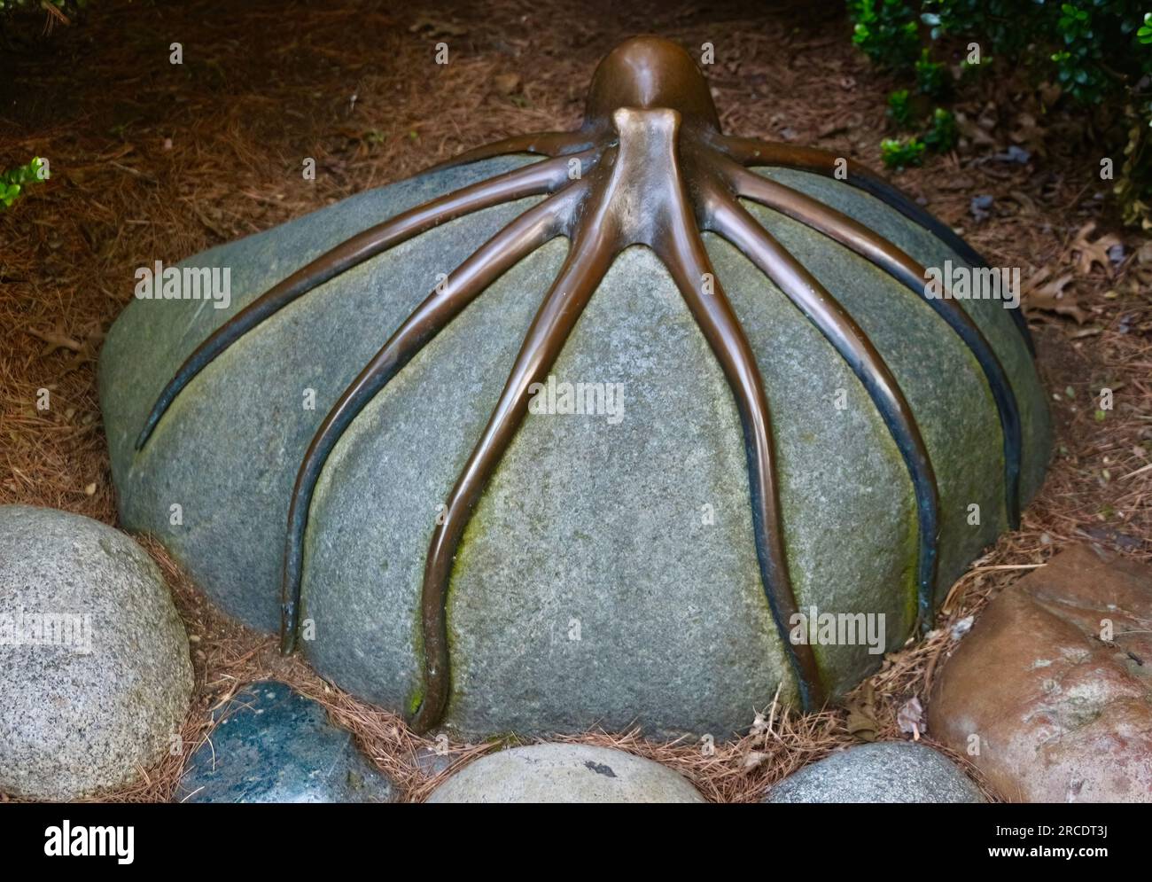 Bronze octopus sculpture in the Neototems Children's Garden Seattle ...