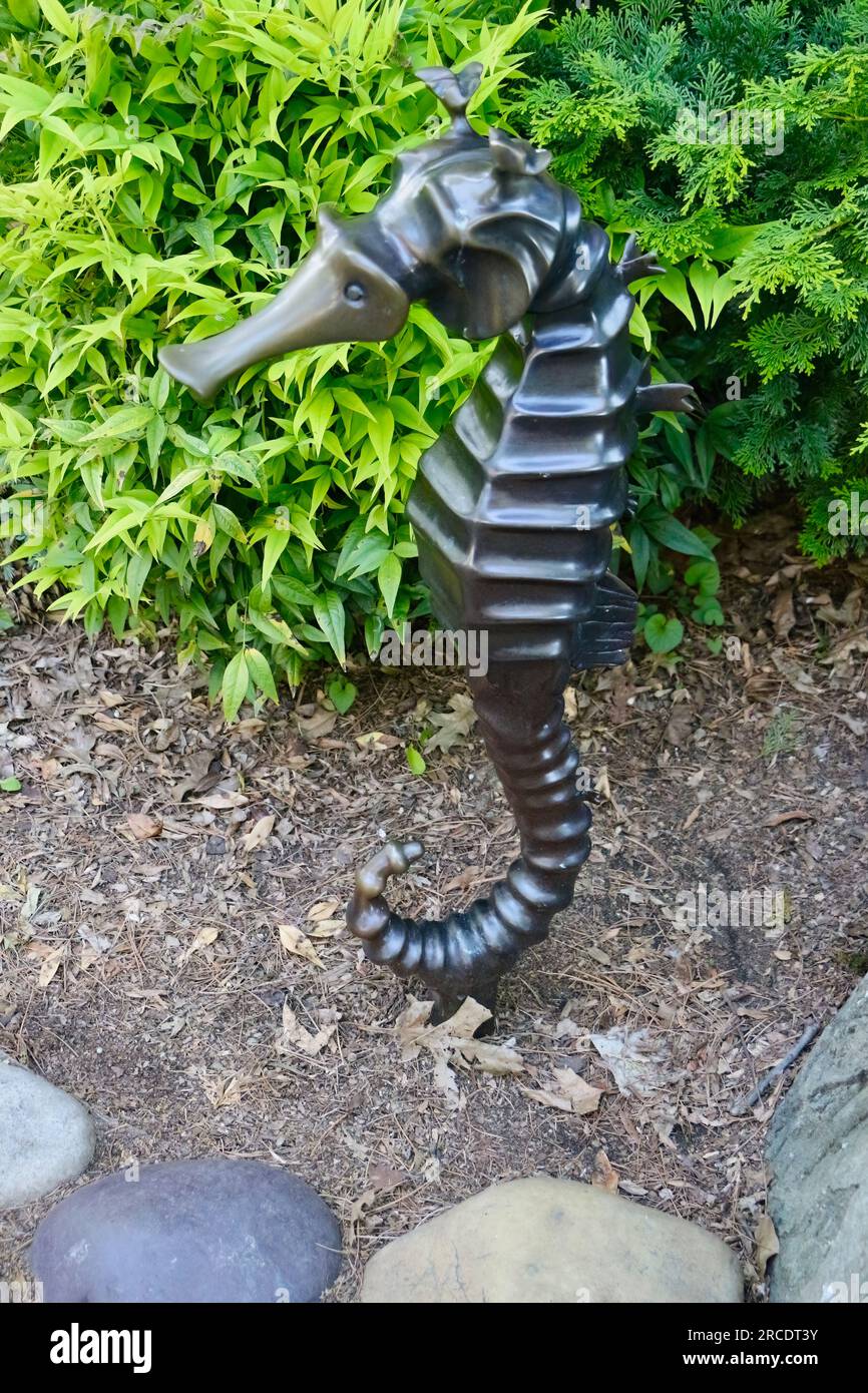 Small seahorse sculpture hi-res stock photography and images - Alamy