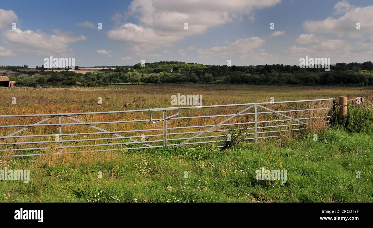 A double-width gate at a field entrance beside a rural byway Stock ...