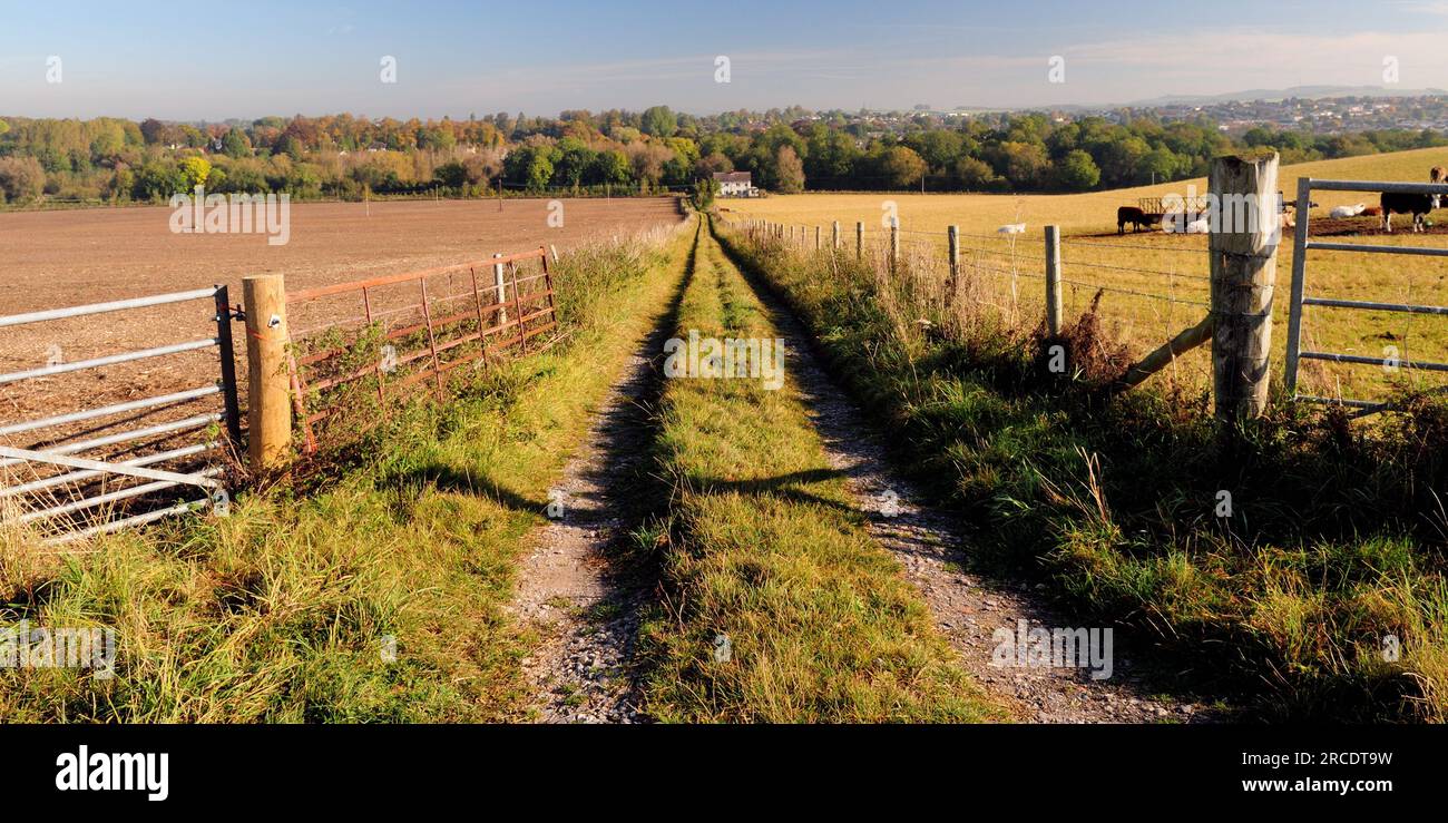 Walking between tracks hi-res stock photography and images - Alamy