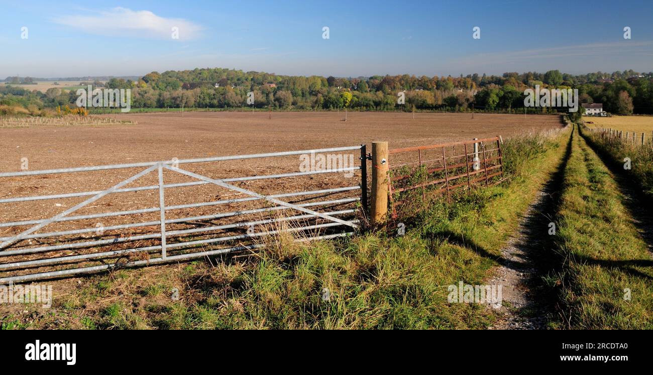 A rural byway between fields Stock Photo - Alamy