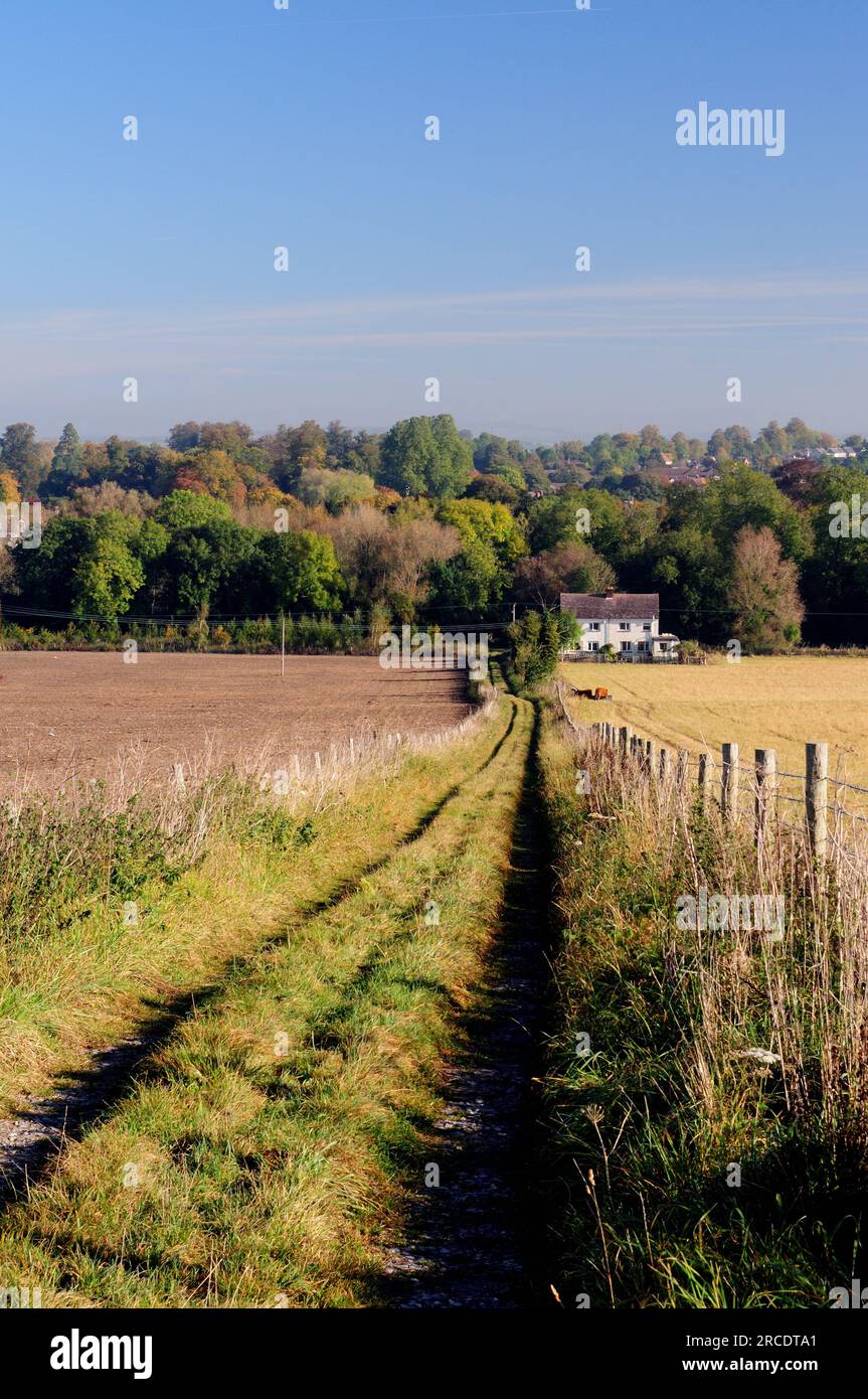Rutted fields hi-res stock photography and images - Alamy
