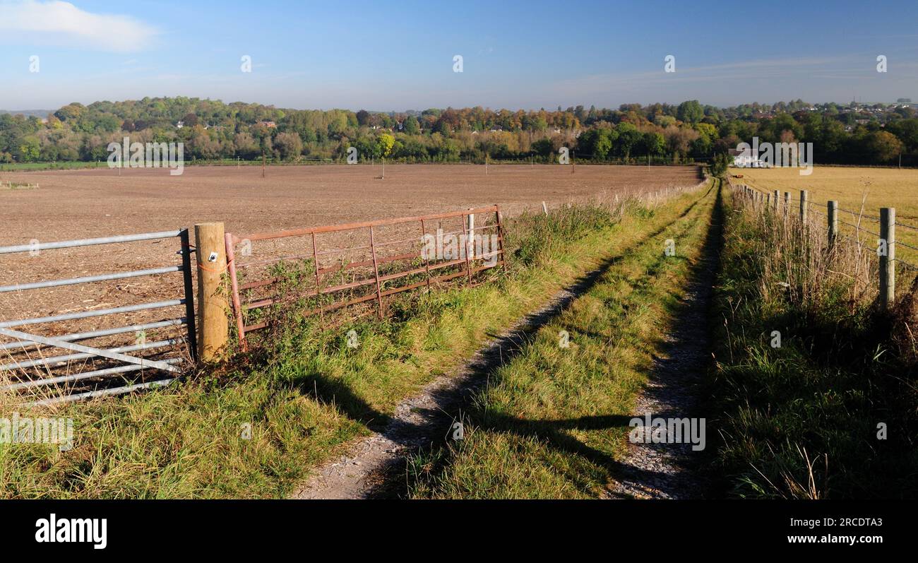 A rural byway between fields Stock Photo - Alamy