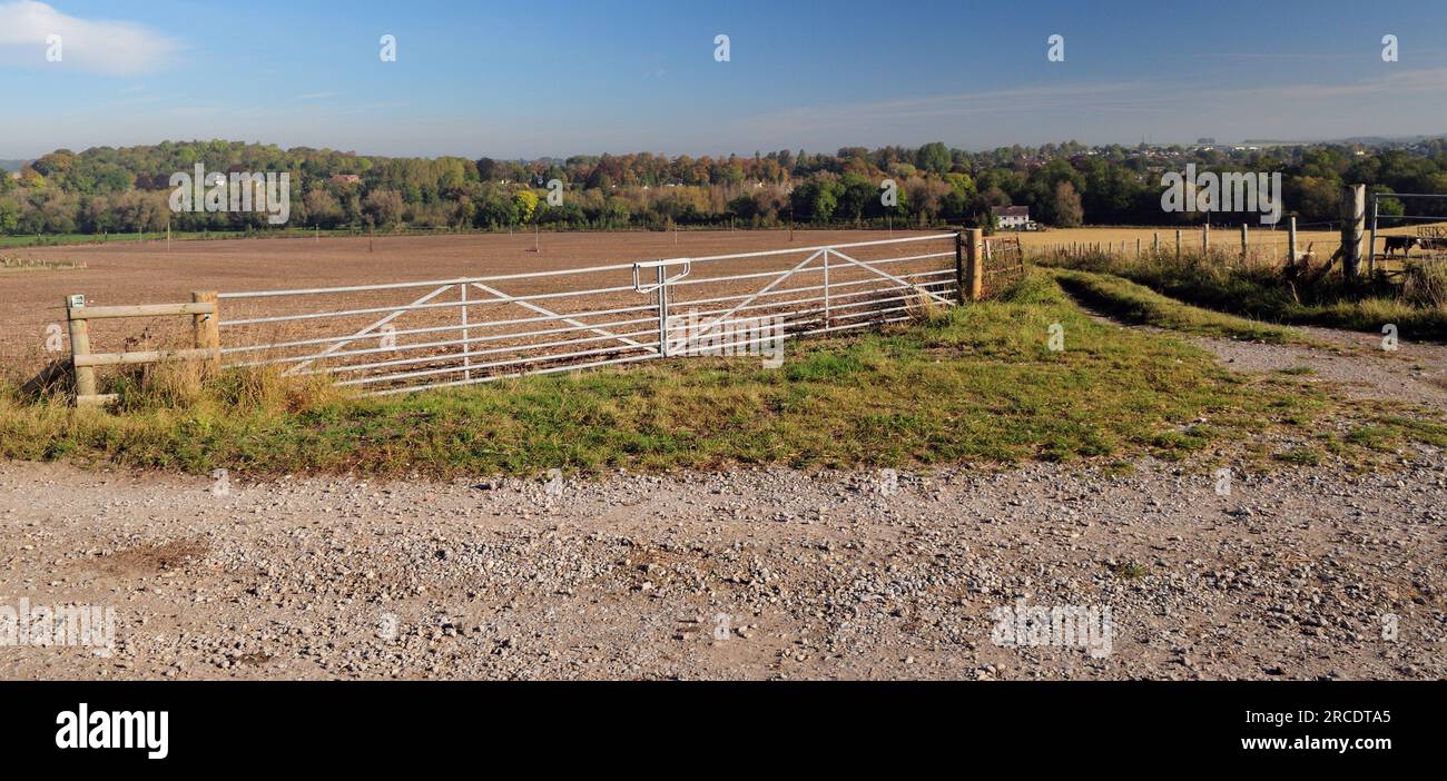 A double-width gate at a field entrance beside a rural byway Stock ...