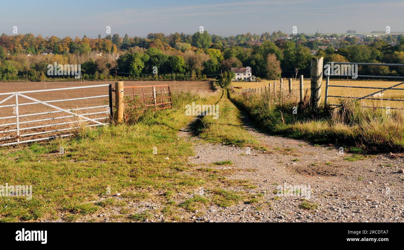 A rural byway between fields Stock Photo - Alamy
