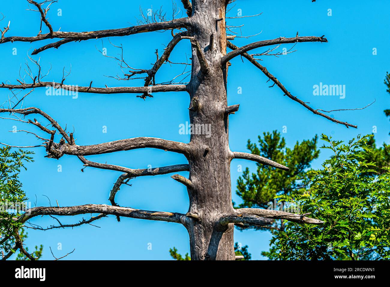 Dried in air hi-res stock photography and images - Alamy