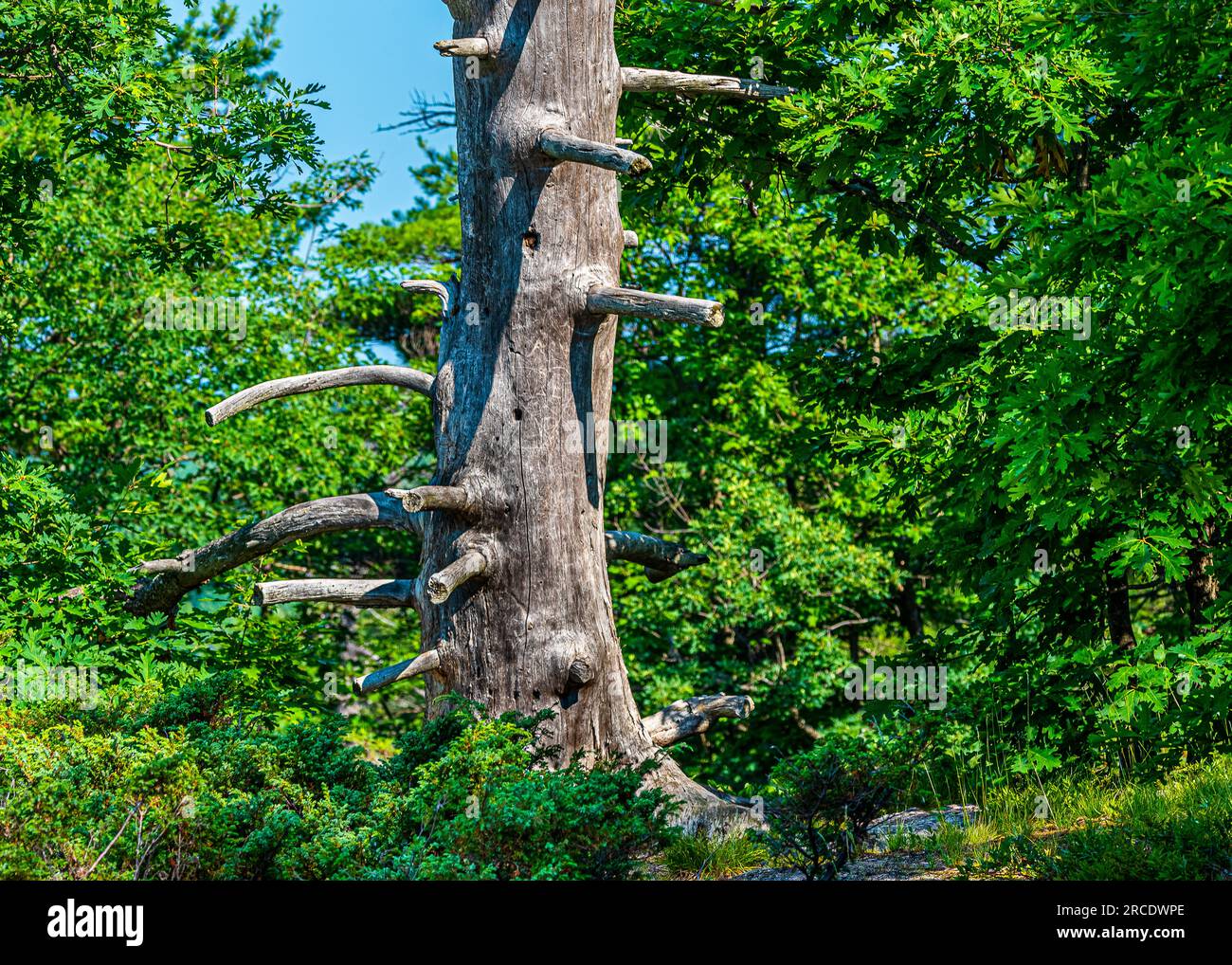 Dried in air hi-res stock photography and images - Alamy