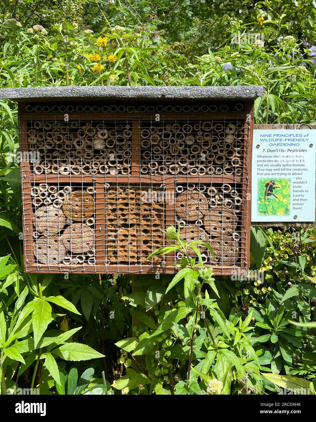 Bug house hi-res stock photography and images - Alamy